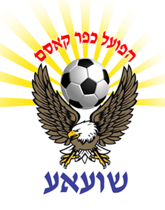 shoa logo • המרכז לגיוס כספים